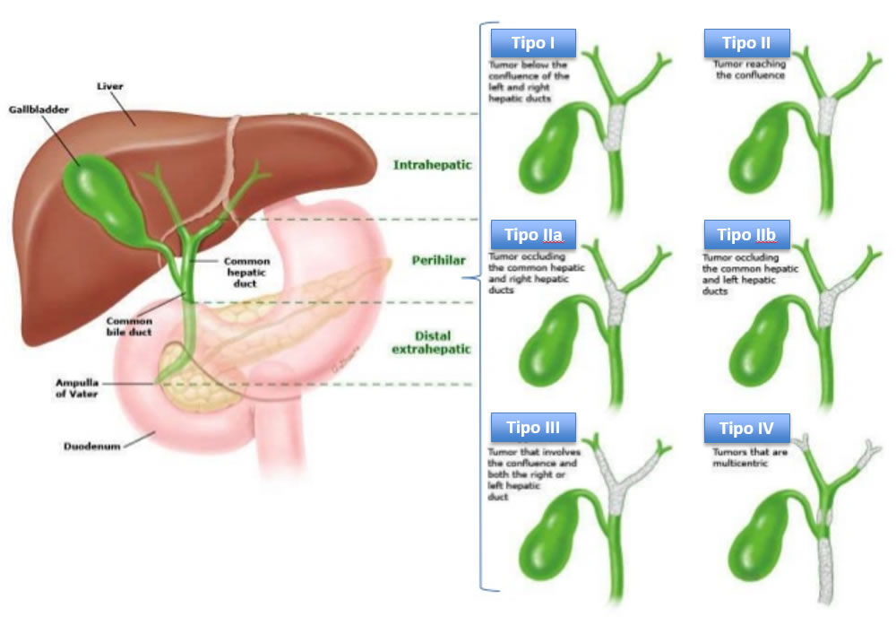 ENDIBA - Herramientas para Endoscopistas